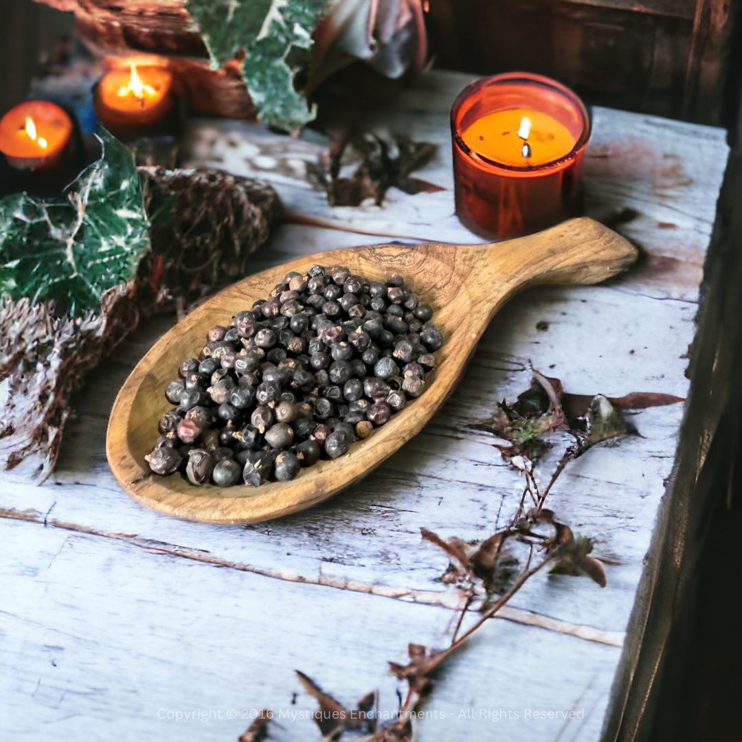 Juniper Berries – Mystiques Enchantments Home of Holistic Magick ...